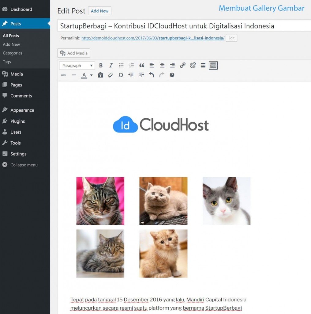 Tutorial Cara Mengelola Artikel pada Wordpress | IDCloudHost