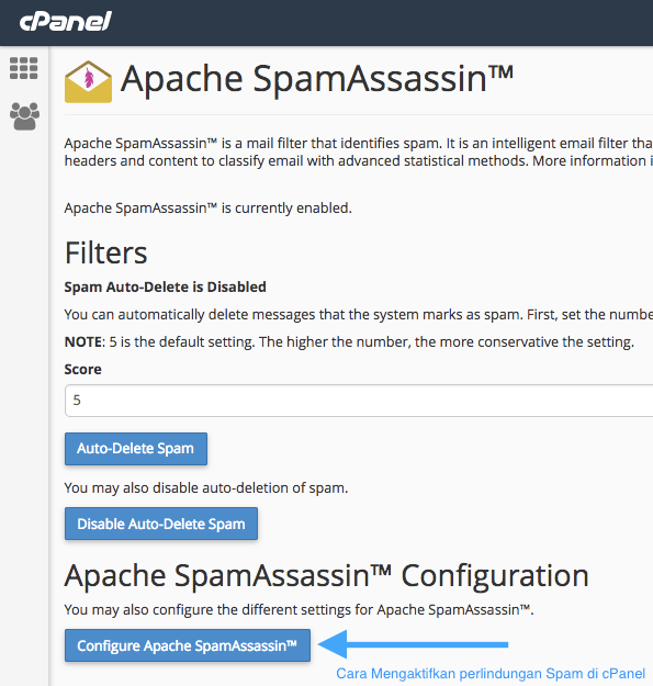 Cara Mengaktifkan Perlindungan Spam pada cPanel - IDCloudHost